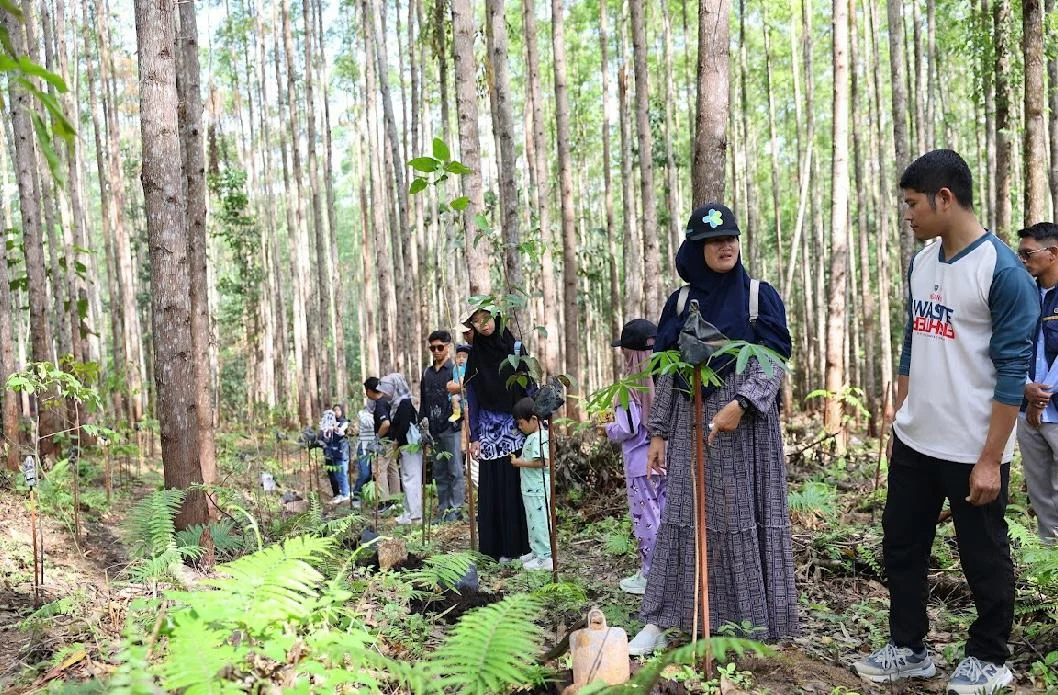 Tembus 59.676 Orang, Libur Paskah di IKN Diisi Dengan Aksi Menanam ...